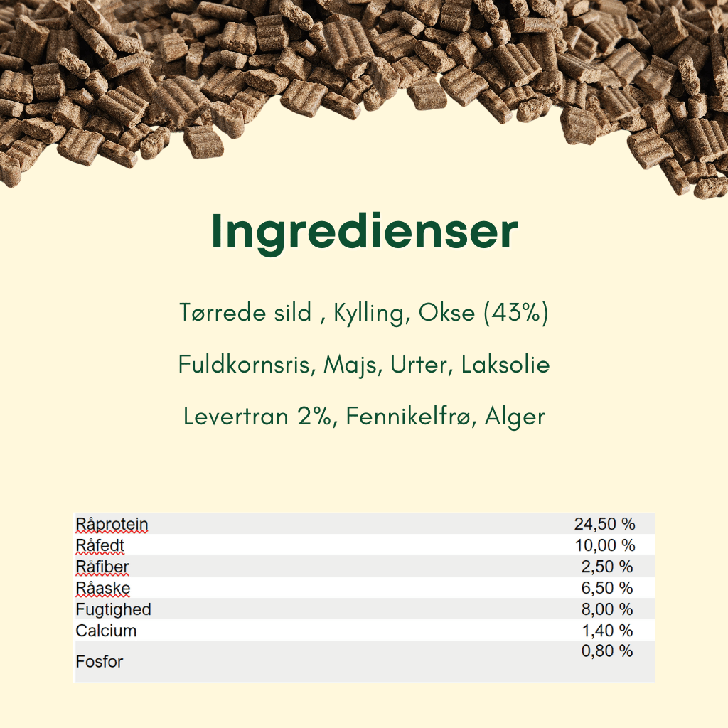 Hundefoder - Natur-terapeut